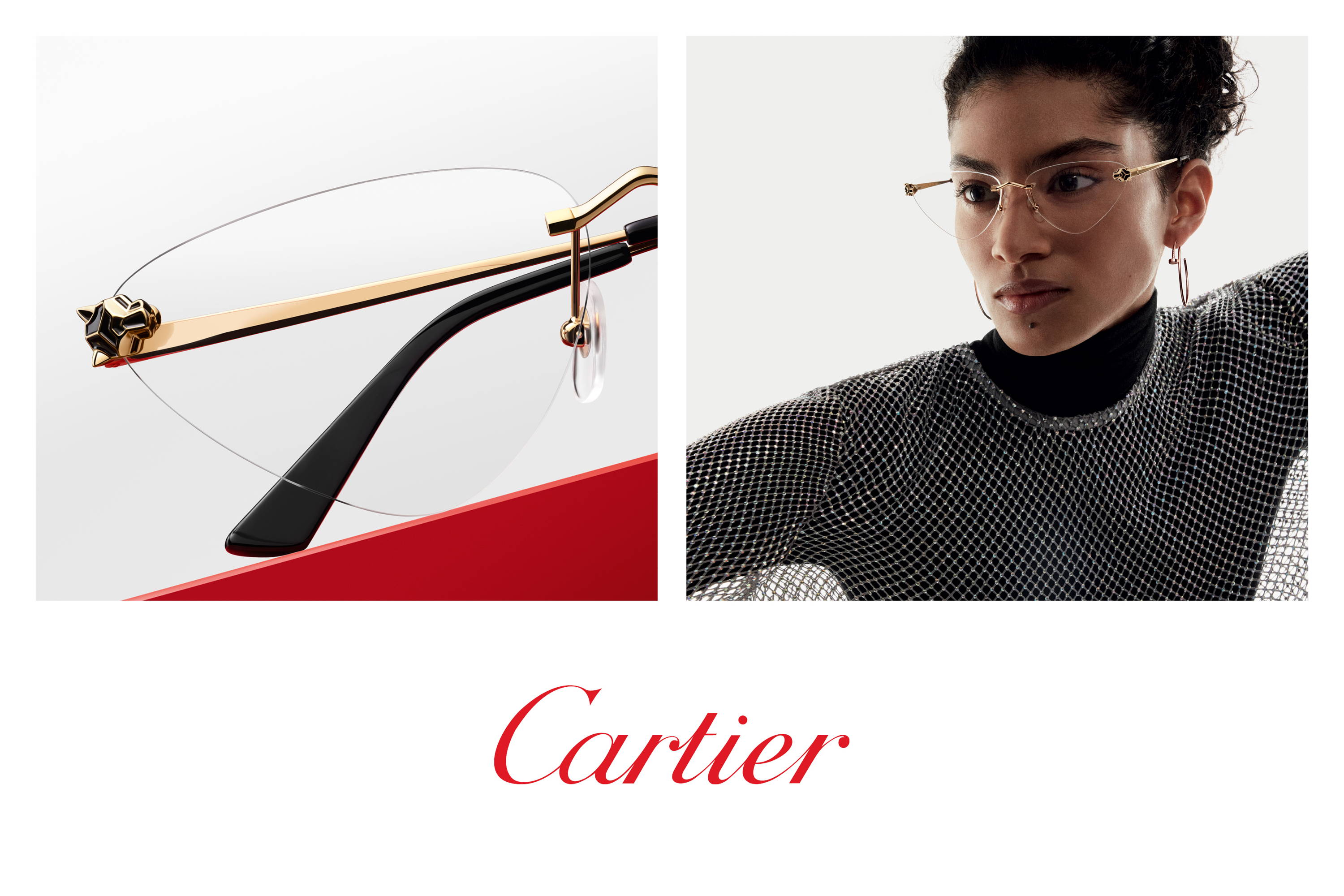 Cartier Eyewear | Mott Optical Group