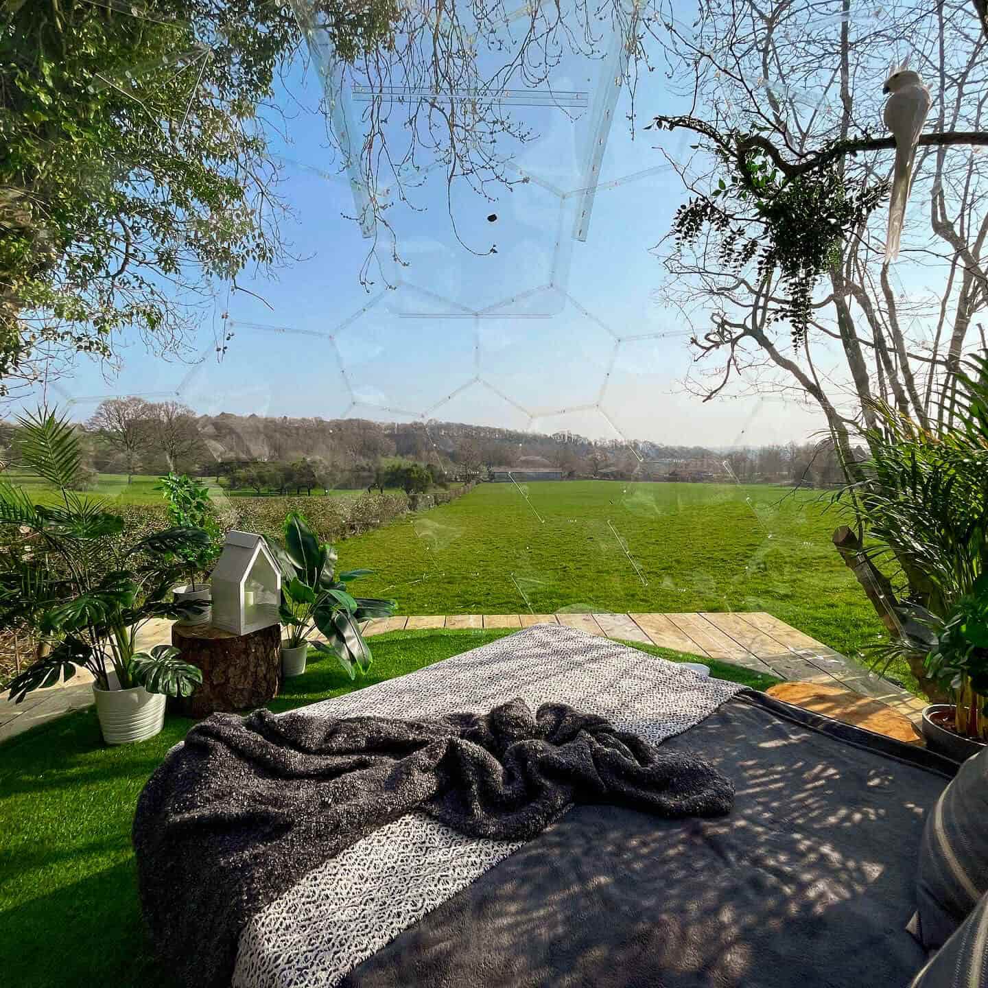 GeoDomeX Clear DIY Self Build Outdoor Geodesic Dome Room Garden Igloo ...