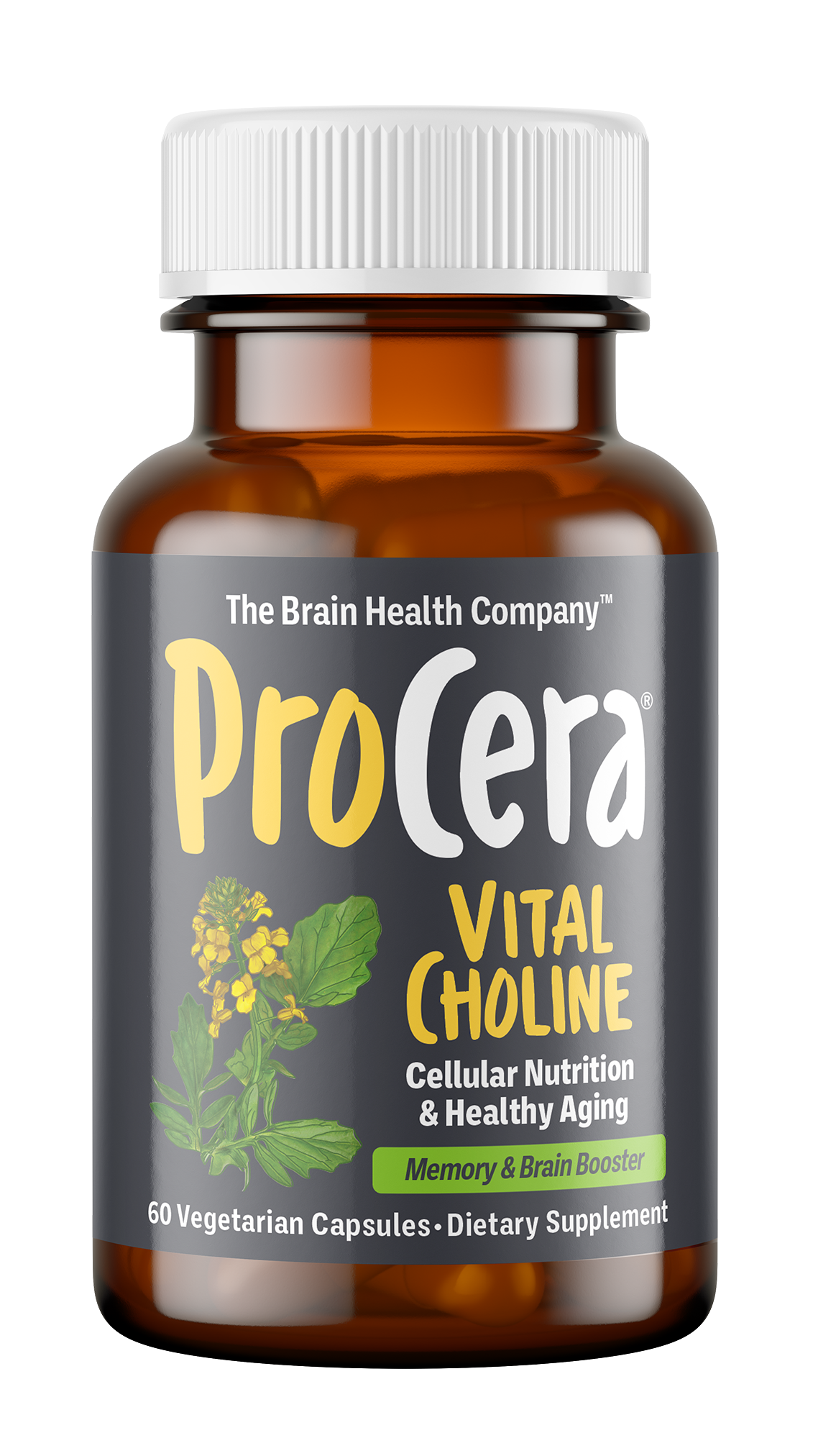 Procera AVH | Promote Prolong Protect