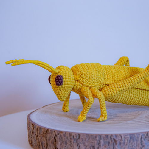 3 in 1 Bundle: Dragonfly, Honey Bee, Grasshopper