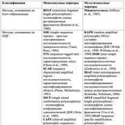 Молекулярные маркеры (ДНК-маркеры) — Шаг 3 — Stepik