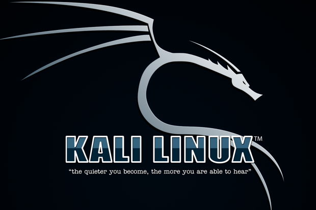 SeaBIOS & Kali Linux Review - Slant