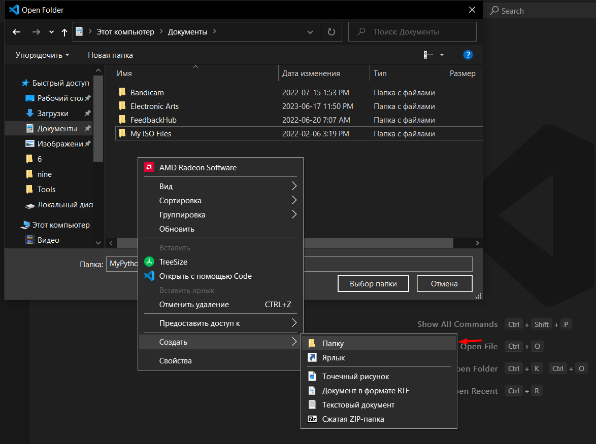 Введение. Знакомство с Python — Шаг 8 — Stepik