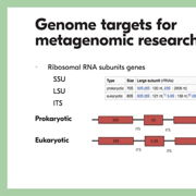 Метагеномные подходы — Шаг 1 — Stepik