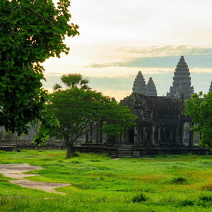 Siem Reap Perfect Driver