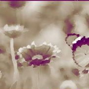 Эффекты — Step 13 — Stepik