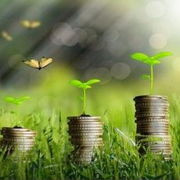 Grammar Support — Stepik