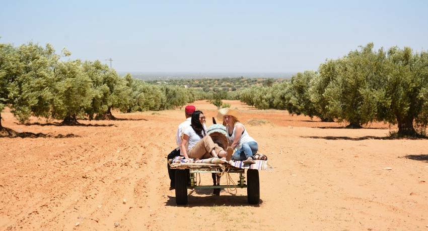 Katar | Ancient Mediterranean Beauty. Pure. Timeless. Elemental ...