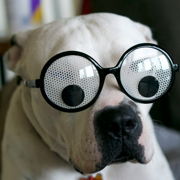 👋 Что ждёт на курсе? — Шаг 1 — Stepik