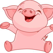 О курсе — Шаг 1 — Stepik