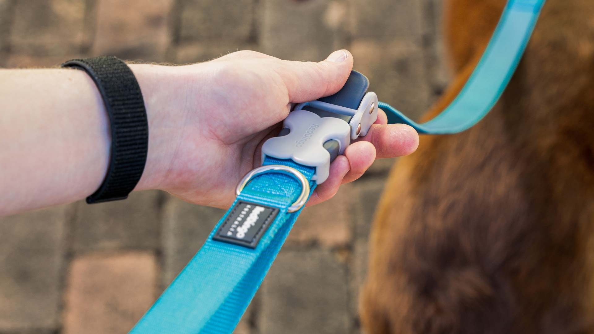 SuperLead - Multipurpose Dog Lead – Dog Nation