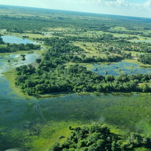 Guest Hub - SAFARI WITH US