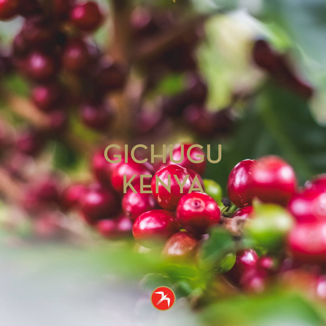 Fuglen Coffee Club Subscription - Fuglen Coffee Roasters Oslo