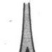 Членистоногие — Шаг 13 — Stepik