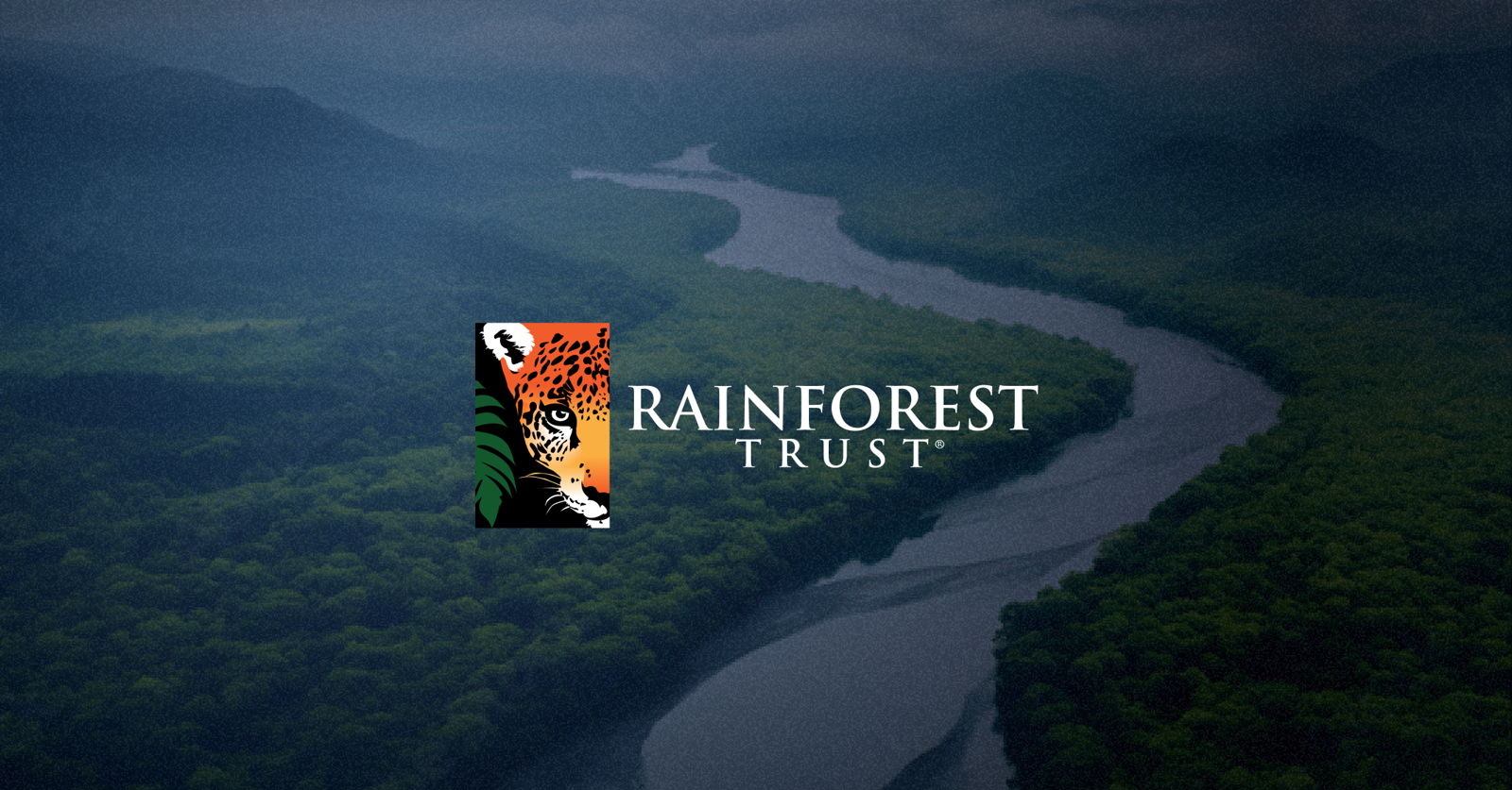 Customer kudos: Rainforest Trust commits $500 million to conservation ...