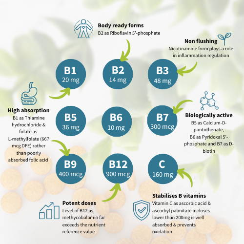 Methylated Super B-Complex, High Absorption B-Vitamin Supplement with ...