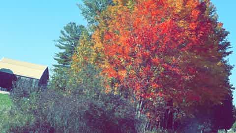 Part-Time Daycares in Coleman, Wisconsin – Flexible Care