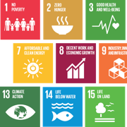 Homework — Шаг 1 — Stepik