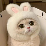 Требования к написанию работы — Шаг 1 — Stepik