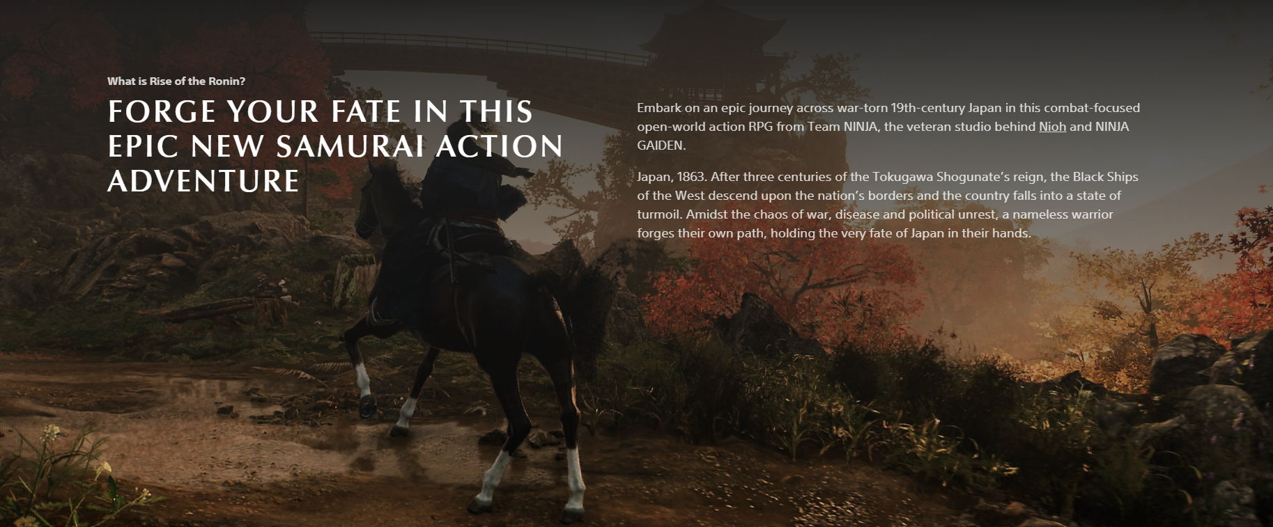 Rise Of The Ronin (PS5)