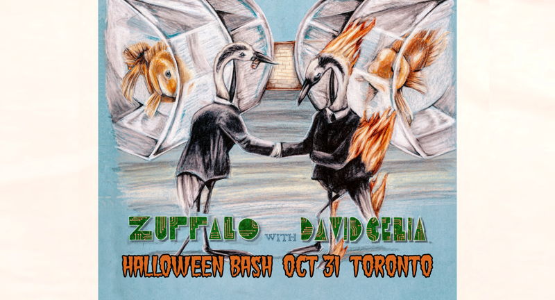HALLOWEEN NIGHT: Zuffalo with David C... | Oct 31 | NEXT Magazine