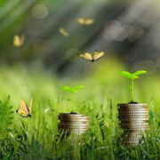 Optional materials — Stepik