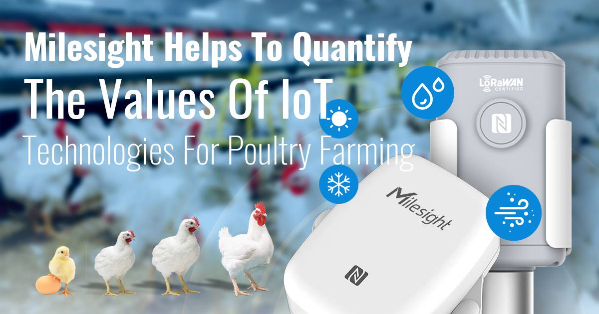 Smart Poultry Chicken Farm ฟาร์มไก่อัจฉริยะ