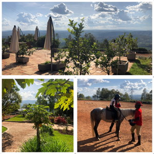 Guest Hub - Fazenda Sengha