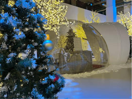 GeoDomeX Clear DIY Self Build Outdoor Geodesic Dome Room Garden Igloo ...