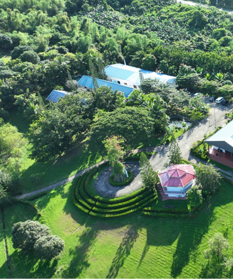 IWT Philippines - Youth With A Mission — Youth With A Mission