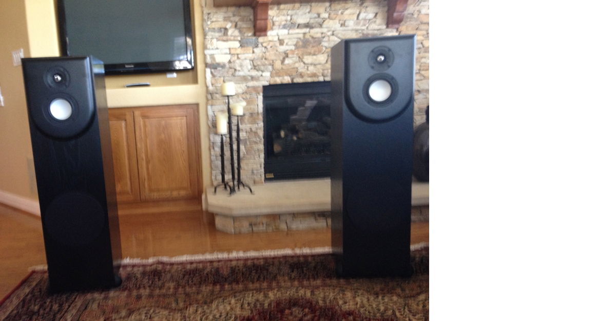 Revel Performa F30 Floorstanding Speakers For Sale | Audiogon