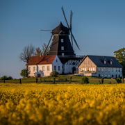 Смешанная экономическая система — Шаг 5 — Stepik