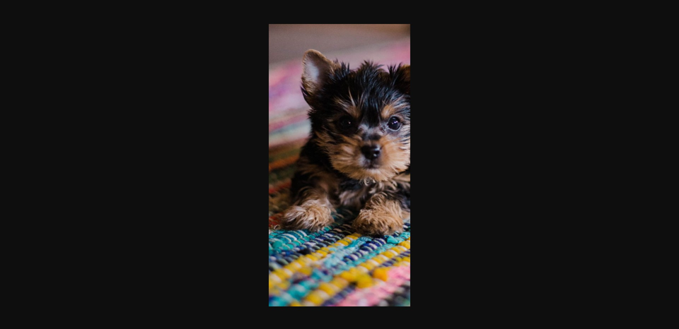Resize And Rotate Images Using Javascript Uploadcare