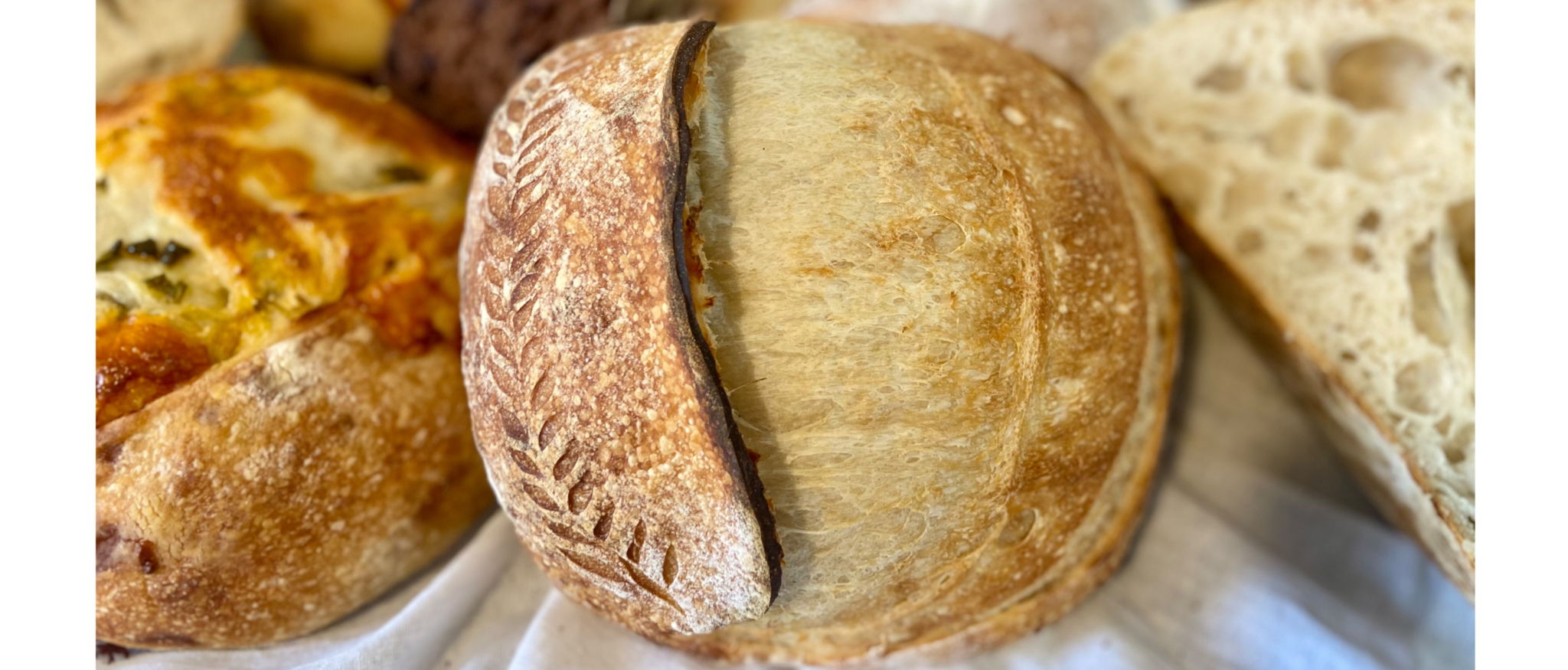 Homestead Bread