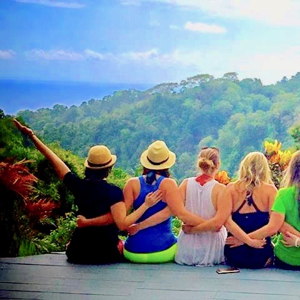 Guest Hub - Rainforest Reef Escape