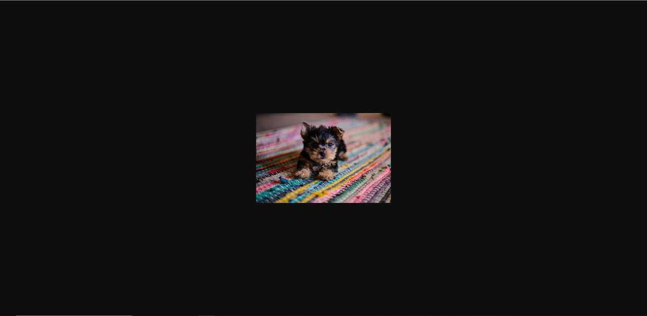 Resize And Rotate Images Using Javascript Uploadcare