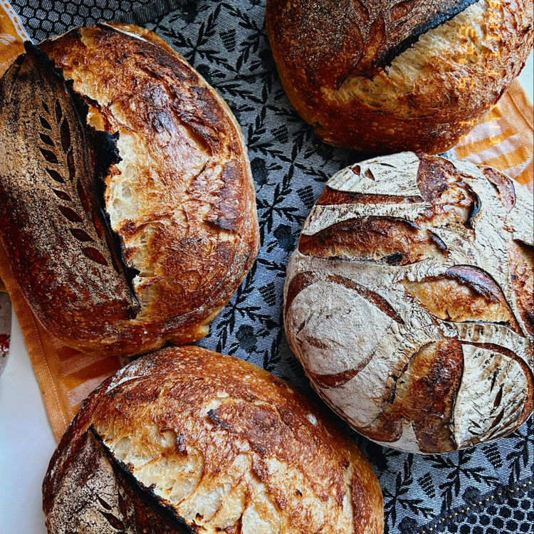 Squirrel Bakery