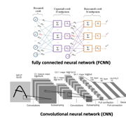 Learned Features [CNN] Визуализация карт активации — Шаг 1 — Stepik