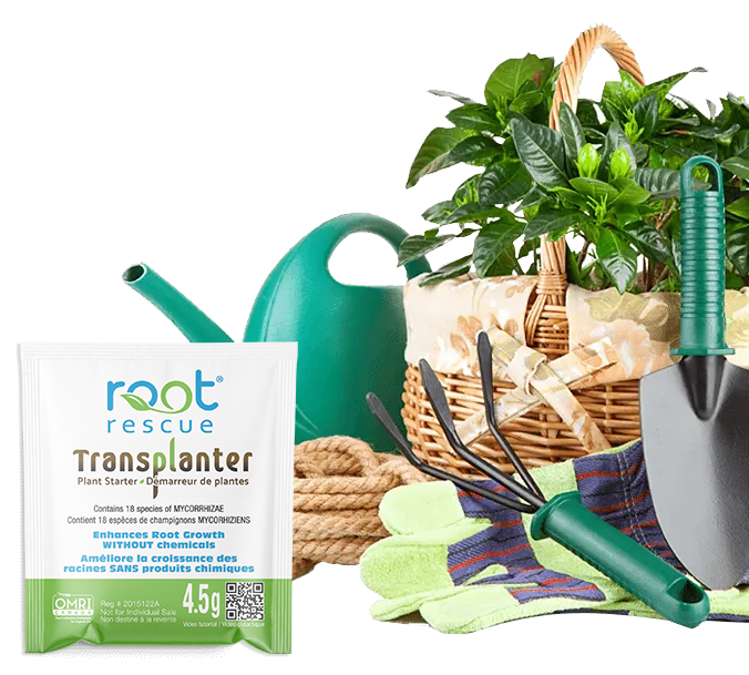 Root Rescue | Transplanter, Mycorrhizal, Plant Grower and Dealer – Root ...