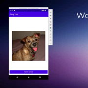 JSON — Шаг 1 — Stepik