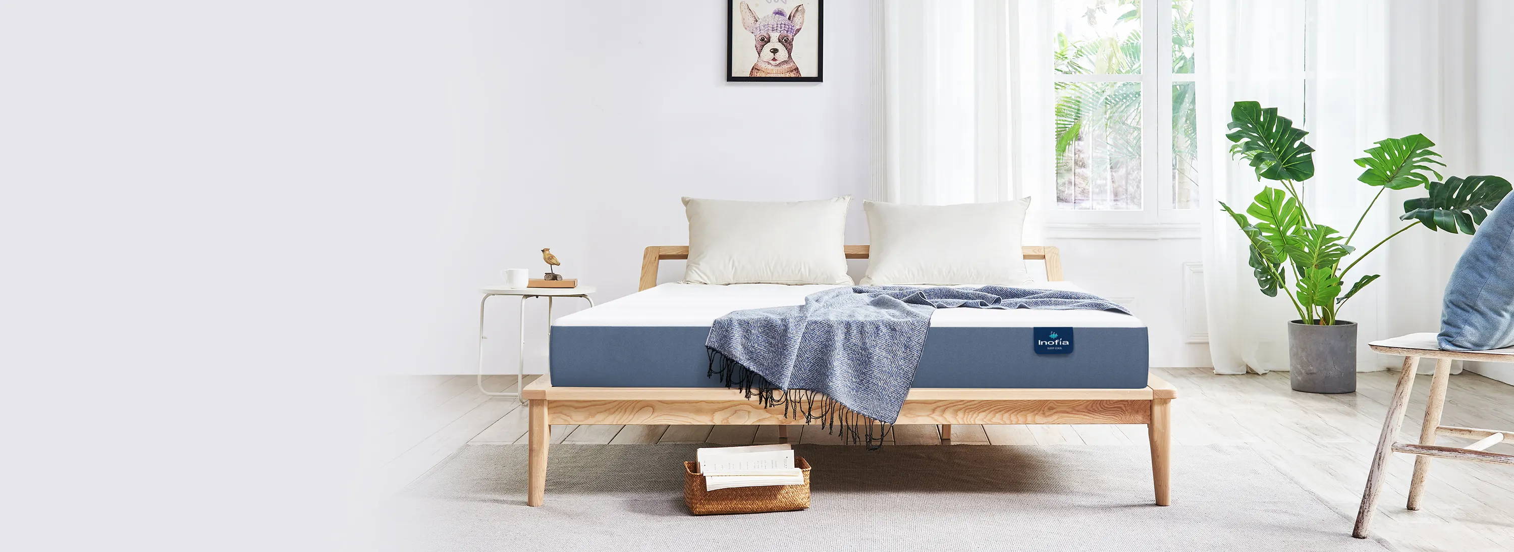 Find The Comfortable Mattress-Free Shipping And 100-Day Trial | Inofia ...