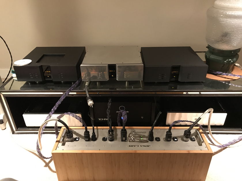 Jeff Rowland Model 6 AMAZING World Class Mono-Blocks | Solid state ...