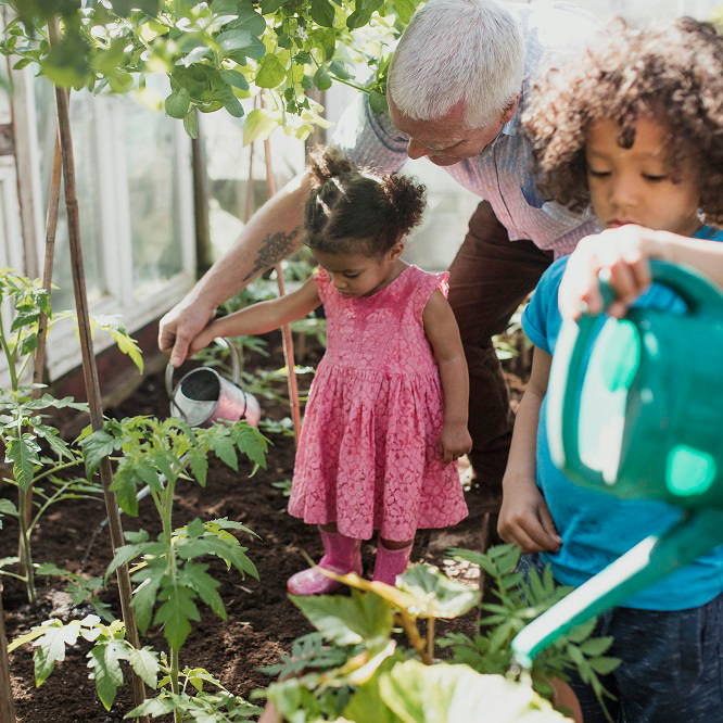 Root Rescue | Transplanter, Mycorrhizal, Plant Grower and Dealer – Root ...