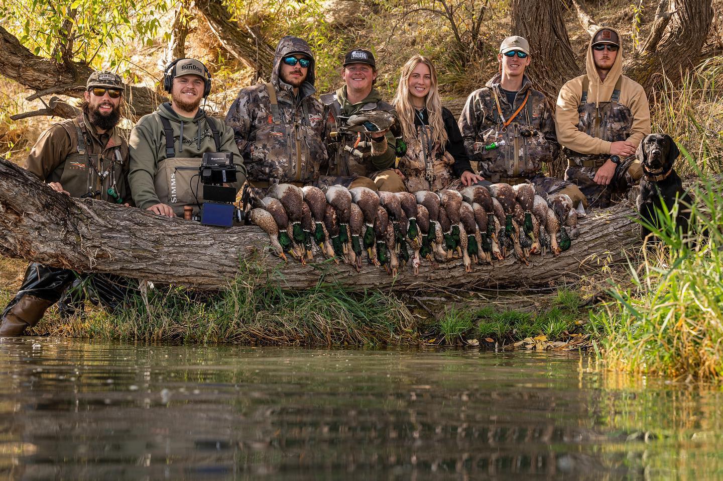 Loaded Timber Waterfowl - Book Your Trip - Mallard Bay