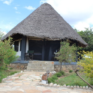 Guest Hub - Explore Nature Mara Lodge