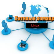 Просмотр сетевых идентификаторов в командной строке Windows — Шаг 3 — Stepik