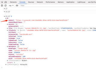 How to upload files using Uploadcare React File Uploader in Next.js ...