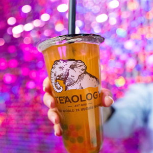 TeaOlogy - Bubble tea in Oslo