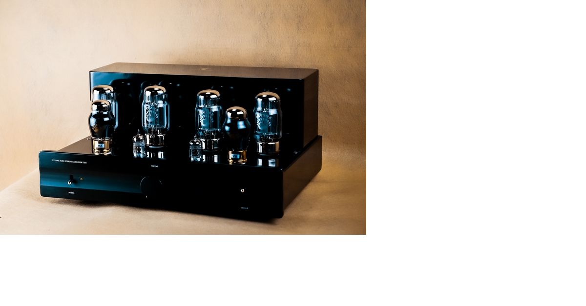 Psvane TS88 Integrated KT88 tube amplifier For Sale | Audiogon