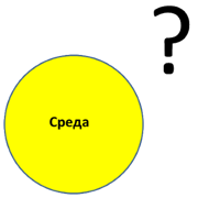 Развитие личности — Шаг 14 — Stepik